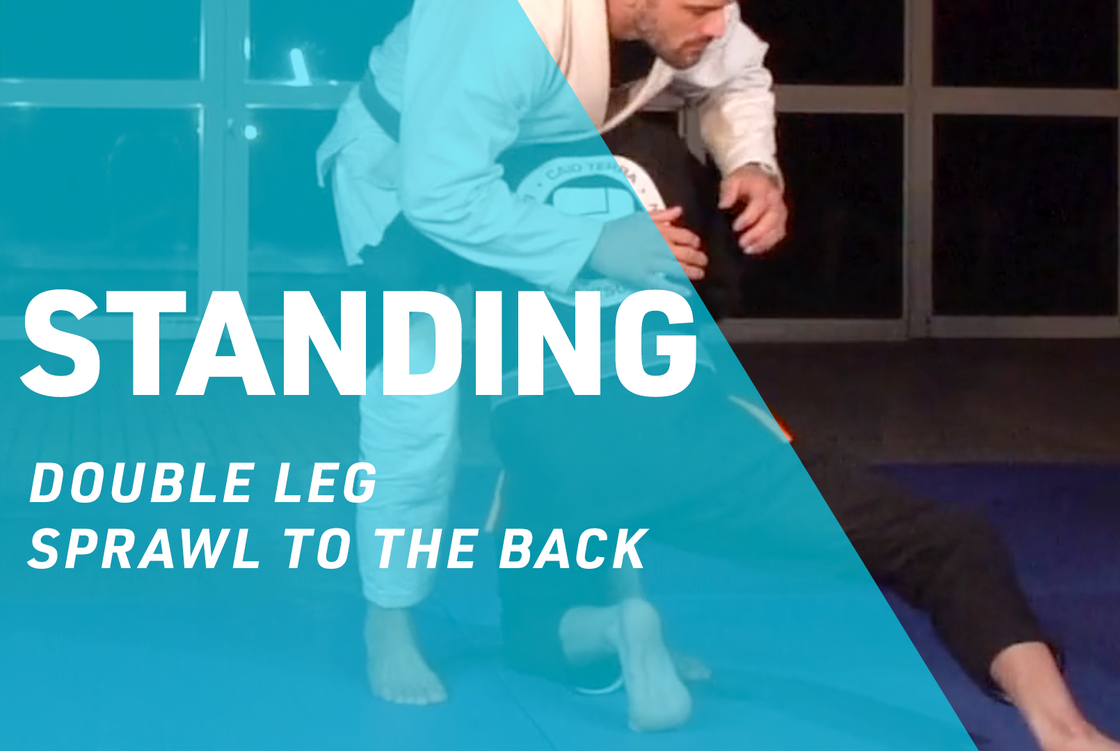 Turtle Guard Archives - Caio Terra Online BJJ